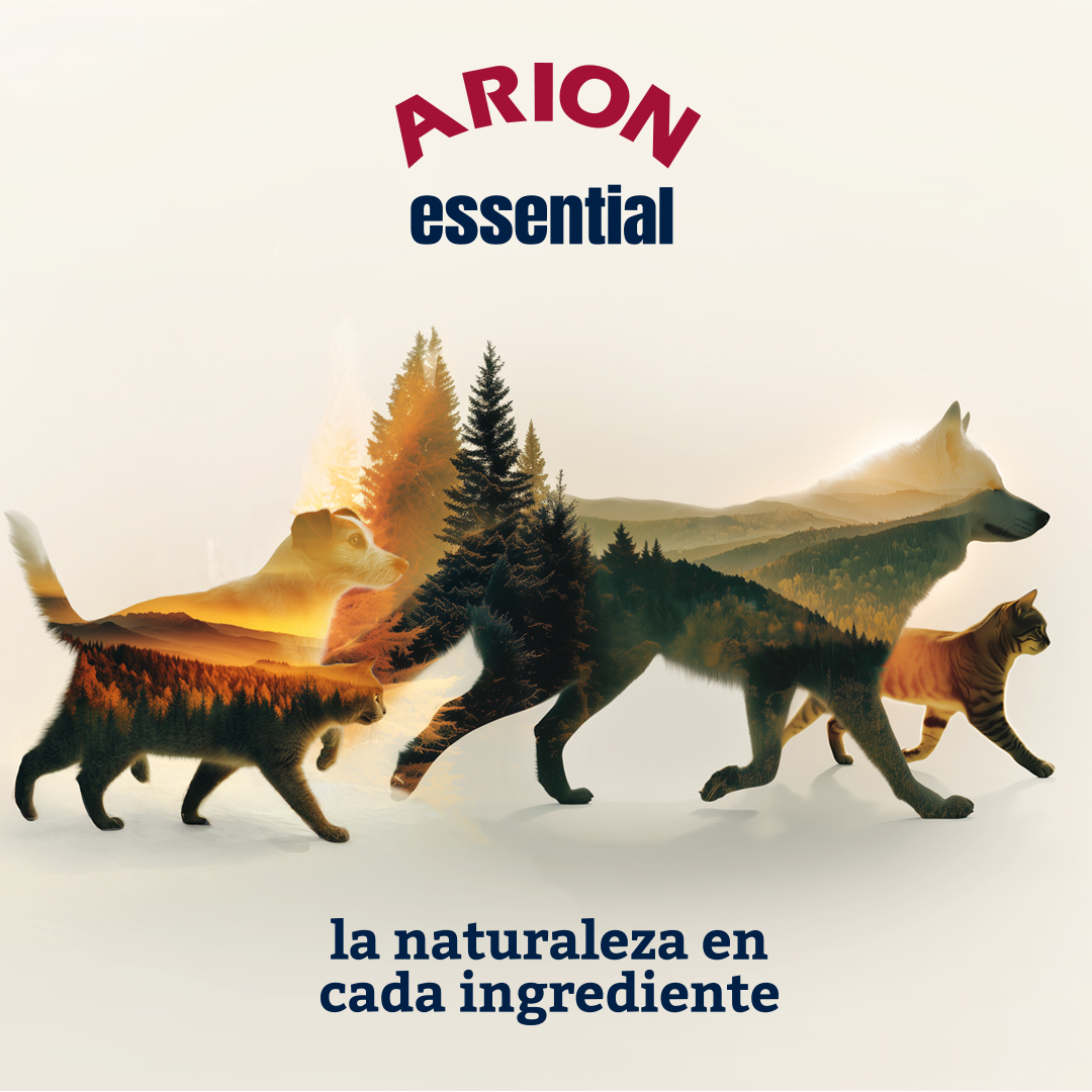 Arion Essential - Arion